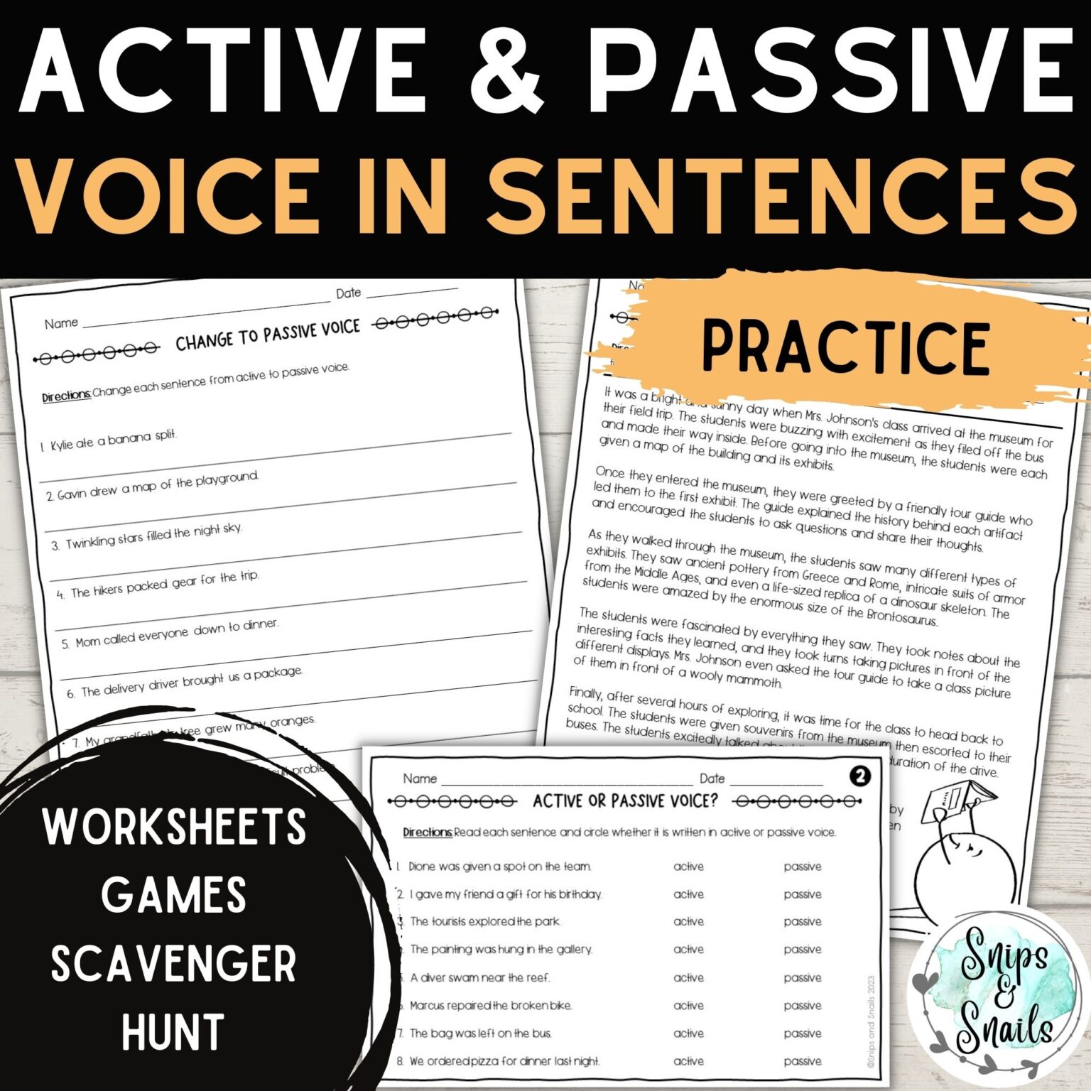 Active and Passive Voice Activities - Snips and Snails Teaching